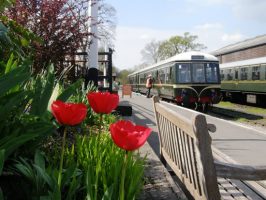 Diesels Locomotives & Railcars – Kent and East Sussex Railway