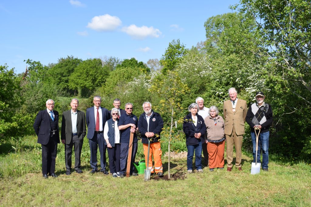 Marking the Coronation with an oak tree and a pledge for nature - Kent ...
